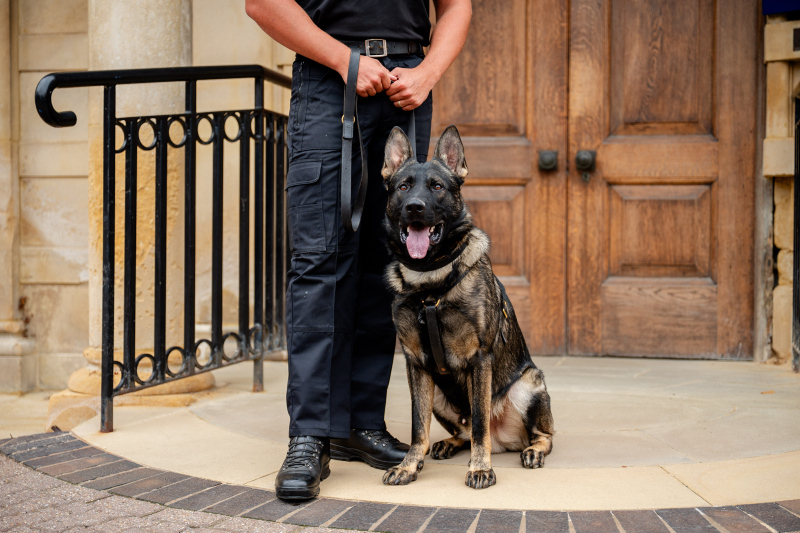 New Police Dog Thor starts as he means to go on | Northamptonshire Police